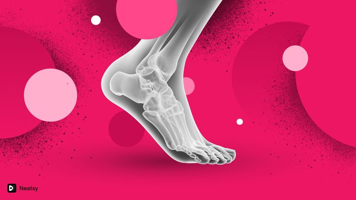 The structure of your feet